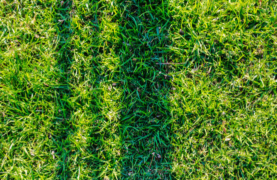 Imágenes de Matojo: descubre bancos de fotos, ilustraciones, vectores y ...