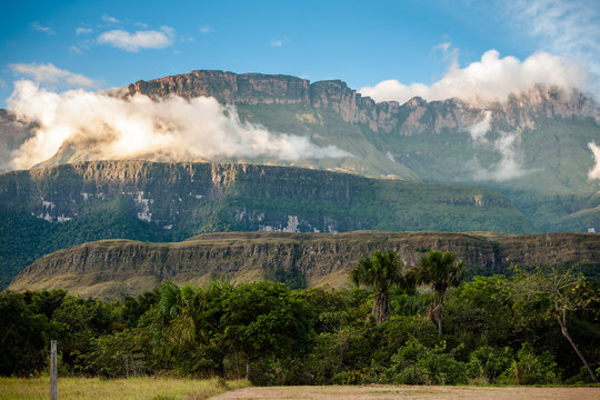 Auyantepui Bilder – Durchsuchen 447 Archivfotos, Vektorgrafiken und ...