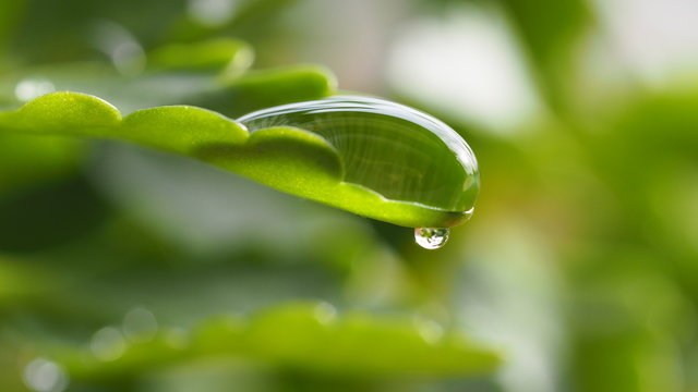 รูปภาพKropla – เลือกดูภาพถ่ายสต็อก เวกเตอร์ และวิดีโอ7,958 | Adobe Stock