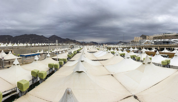 Jamrah Images – Browse 63 Stock Photos, Vectors, and Video | Adobe Stock