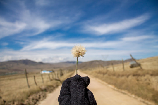 Life-Giving Images – Browse 2,467 Stock Photos, Vectors, and Video ...