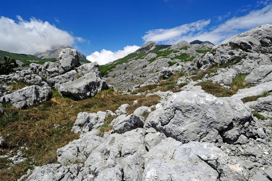 รูปภาพStirovnik – เลือกดูภาพถ่ายสต็อก เวกเตอร์ และวิดีโอ104 | Adobe Stock