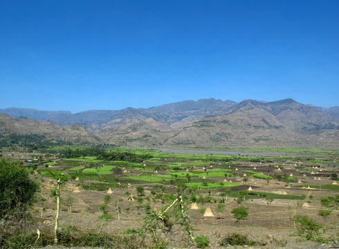 Kombolcha Images – Browse 64 Stock Photos, Vectors, and Video | Adobe Stock