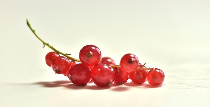 Groseilles Bilder – Durchsuchen 3,196 Archivfotos, Vektorgrafiken und ...