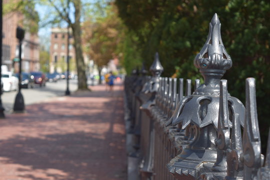 Fenece Images – Browse 58 Stock Photos, Vectors, and Video | Adobe Stock