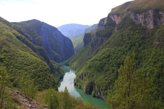 Kanjon Bilder – Durchsuchen 250 Archivfotos, Vektorgrafiken und Videos ...