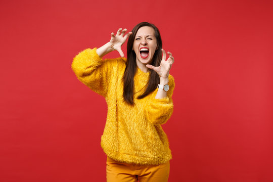 Growling Cat Images – Browse 8,830 Stock Photos, Vectors, and Video ...