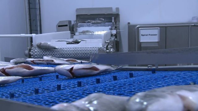 Fish-Processing Images – Browse 3,618 Stock Photos, Vectors, and Video ...