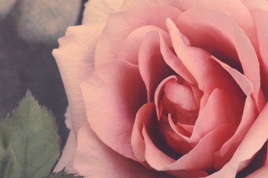 Weich bilder – Bläddra bland 61,298 stockfoton, vektorer och videor ...