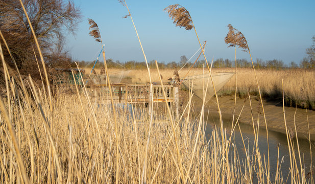 Marais Images – Parcourir 866,647 le catalogue de photos, vecteurs et ...