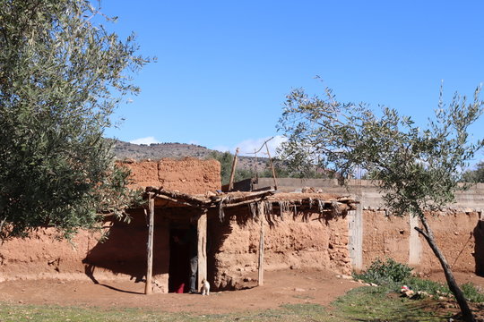 Ozoud Images – Browse 61 Stock Photos, Vectors, and Video | Adobe Stock