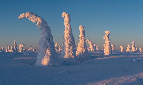รูปภาพTykky – เลือกดูภาพถ่ายสต็อก เวกเตอร์ และวิดีโอ103 | Adobe Stock