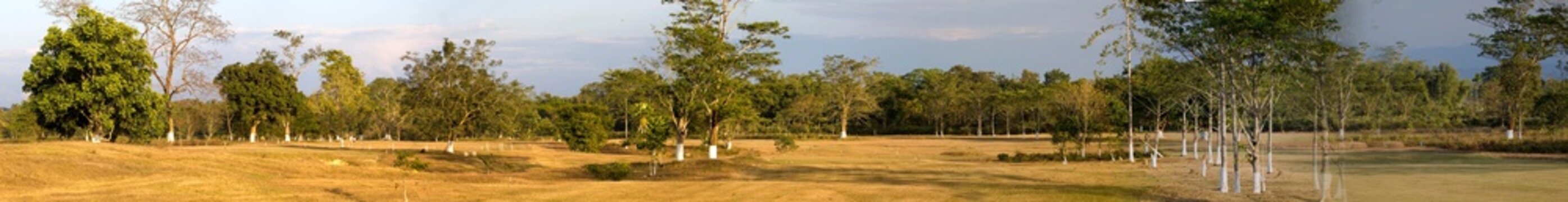 "Beautiful Assam" Bilder – Durchsuchen 32 Archivfotos, Vektorgrafiken ...