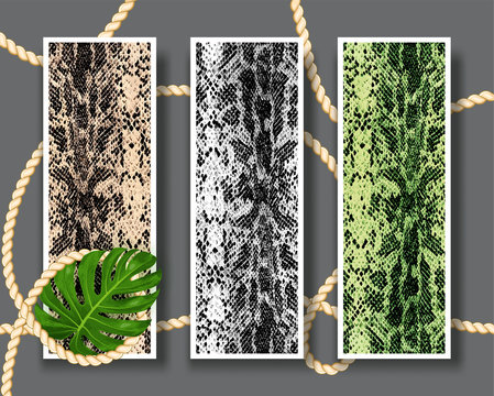 "Piton Skin" Images – Browse 264 Stock Photos, Vectors, and Video ...