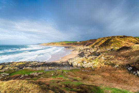 รูปภาพGalloway – เลือกดูภาพถ่ายสต็อก เวกเตอร์ และวิดีโอ4,716 | Adobe Stock