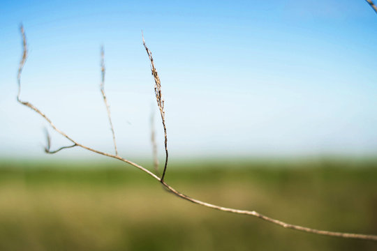 Imperceptible Imagens – Procure 576 fotos, vetores e vídeos | Adobe Stock