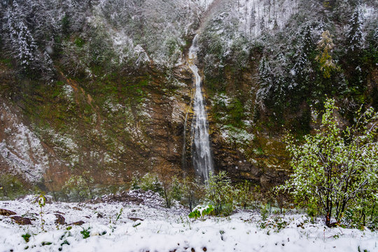 Tulu Images – Browse 61 Stock Photos, Vectors, and Video | Adobe Stock