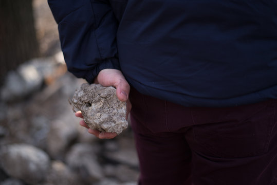 รูปภาพMeanness – เลือกดูภาพถ่ายสต็อก เวกเตอร์ และวิดีโอ2,992 | Adobe Stock