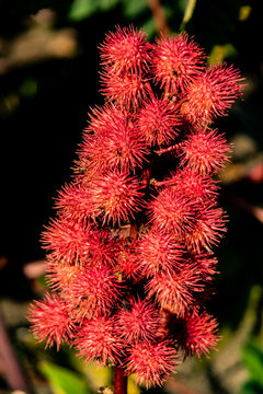 DIE 29 BESTEN BILDER, STOCK-FOTOS UND -VEKTORGRAFIKEN ZU ...