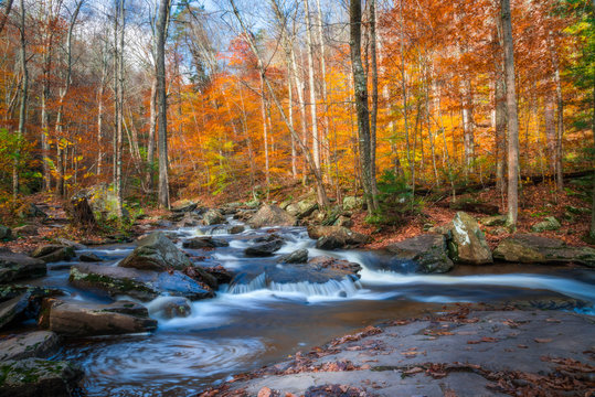 Streamside Images – Browse 199 Stock Photos, Vectors, and Video | Adobe ...