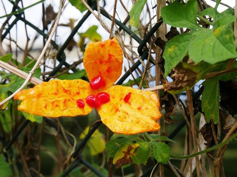 Margose Images – Browse 55 Stock Photos, Vectors, and Video | Adobe Stock