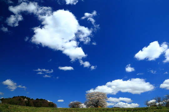 Yumiko photos, images, assets | Adobe Stock