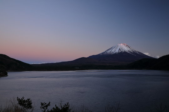Yumiko photos, images, assets | Adobe Stock