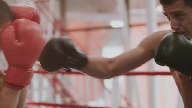 "Fist Fight" Images – Browse 542 Stock Photos, Vectors, and Video ...