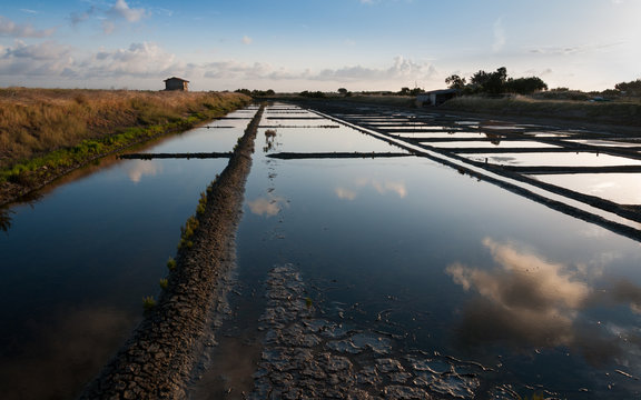 รูปภาพSalant – เลือกดูภาพถ่ายสต็อก เวกเตอร์ และวิดีโอ1,568 | Adobe Stock