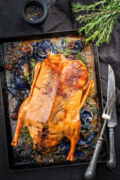 「Mastgans」の画像 - 149 件の Stock 写真、ベクターおよびビデオ | Adobe Stock