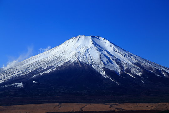 Yumiko photos, images, assets | Adobe Stock
