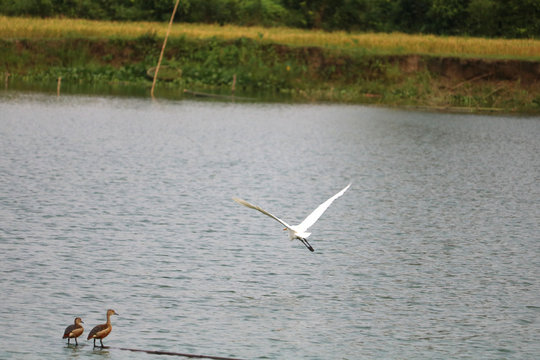 Erget Bilder – Durchsuchen 113 Archivfotos, Vektorgrafiken und Videos ...