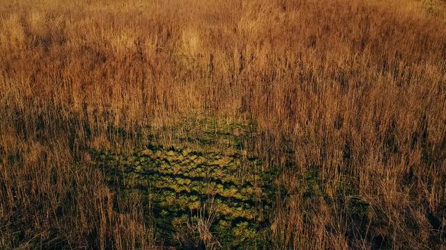 Steppa Bilder – Durchsuchen 437 Archivfotos, Vektorgrafiken und Videos ...