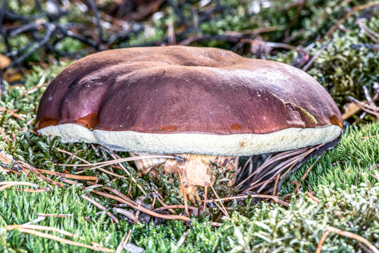 Stock-Fotos und lizenzfreie Bilder, Vektorgrafiken und Illustrationen ...