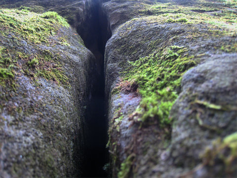 รูปภาพErdmutter – เลือกดูภาพถ่ายสต็อก เวกเตอร์ และวิดีโอ7 | Adobe Stock