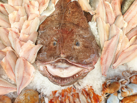 Imagens de Goosefish – Explore Fotografias do Stock, Vetores e Vídeos ...