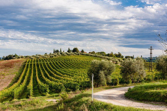 Tuskani bilder – Bläddra bland 602 stockfoton, vektorer och videor ...