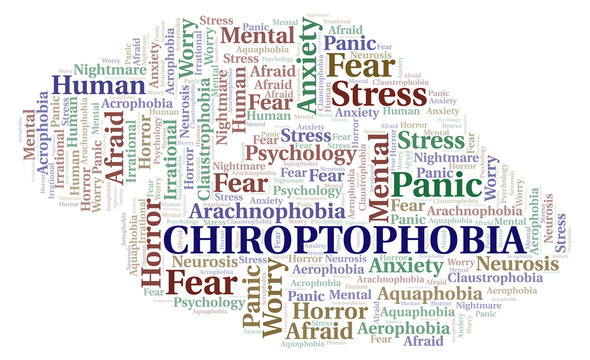 Chiroptophobia Images – Browse 13 Stock Photos, Vectors, and Video ...