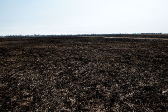 Burned Ground Images – Browse 12,847 Stock Photos, Vectors, and Video ...