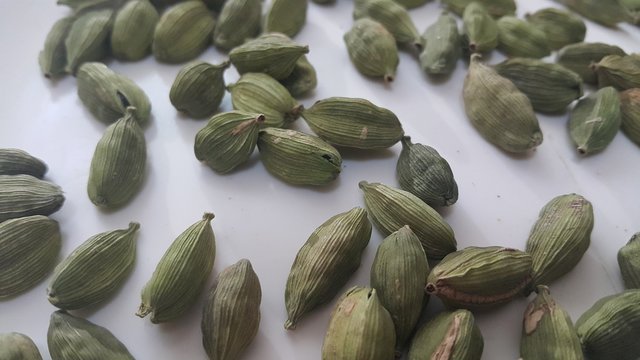 Ilaichi Images – Browse 41 Stock Photos, Vectors, and Video | Adobe Stock