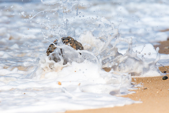 Rebentar Images – Browse 40 Stock Photos, Vectors, and Video | Adobe Stock