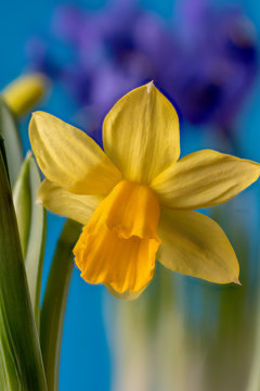 "Tete A Tete" Images – Browse 643 Stock Photos, Vectors, and Video ...