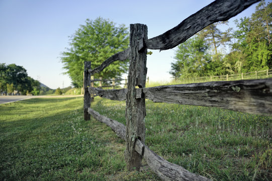 Locust Fence Posts