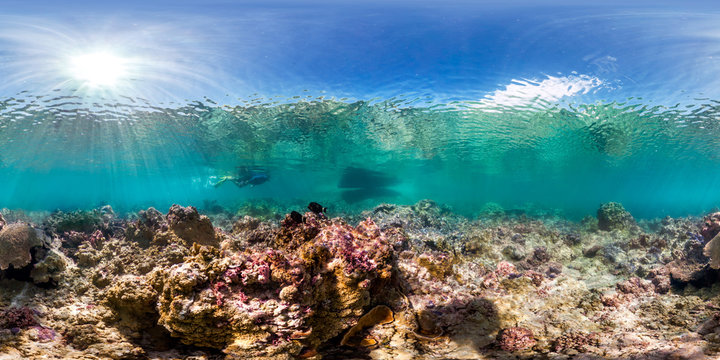 "Palmyra Atoll" Images – Browse 197 Stock Photos, Vectors, and Video ...