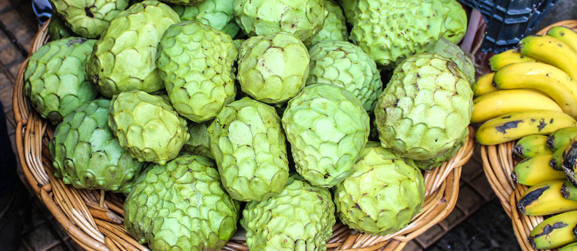 Squamosa Images – Browse 2,016 Stock Photos, Vectors, and Video | Adobe ...