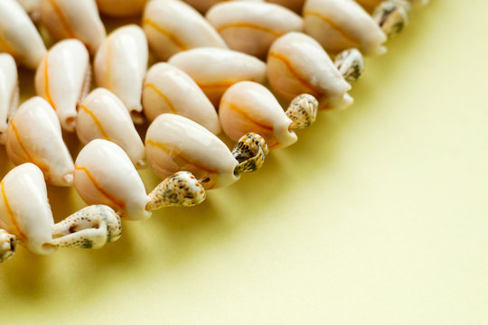 รูปภาพCowries – เลือกดูภาพถ่ายสต็อก เวกเตอร์ และวิดีโอ8,151 | Adobe Stock