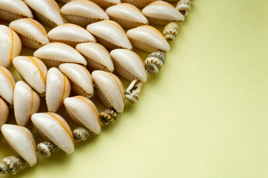 รูปภาพCowries – เลือกดูภาพถ่ายสต็อก เวกเตอร์ และวิดีโอ8,151 | Adobe Stock