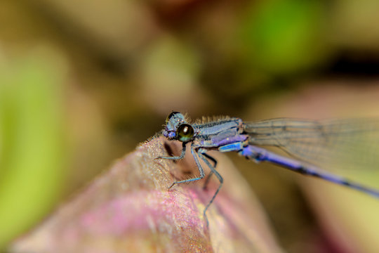 Inhospitable Images – Browse 116,615 Stock Photos, Vectors, and Video ...