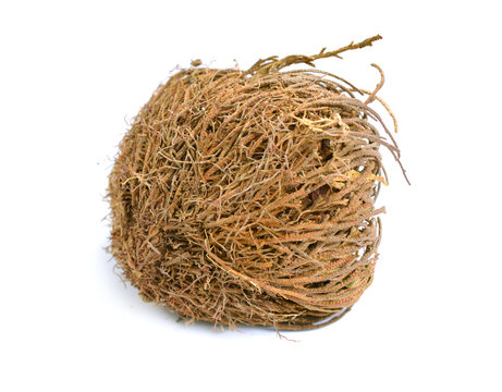 LAS 2,696 MEJORES IMÁGENES, FOTOS DE ARCHIVO Y VECTORES DE Estepicursor ...