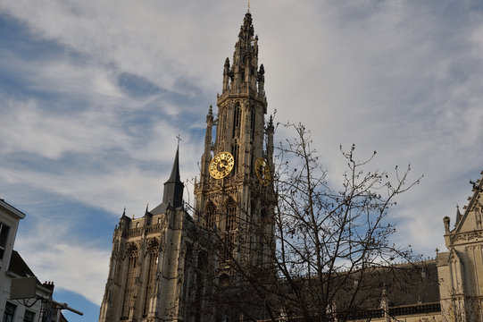 ノートルダム Images – Browse 793 Stock Photos, Vectors, and Video | Adobe Stock